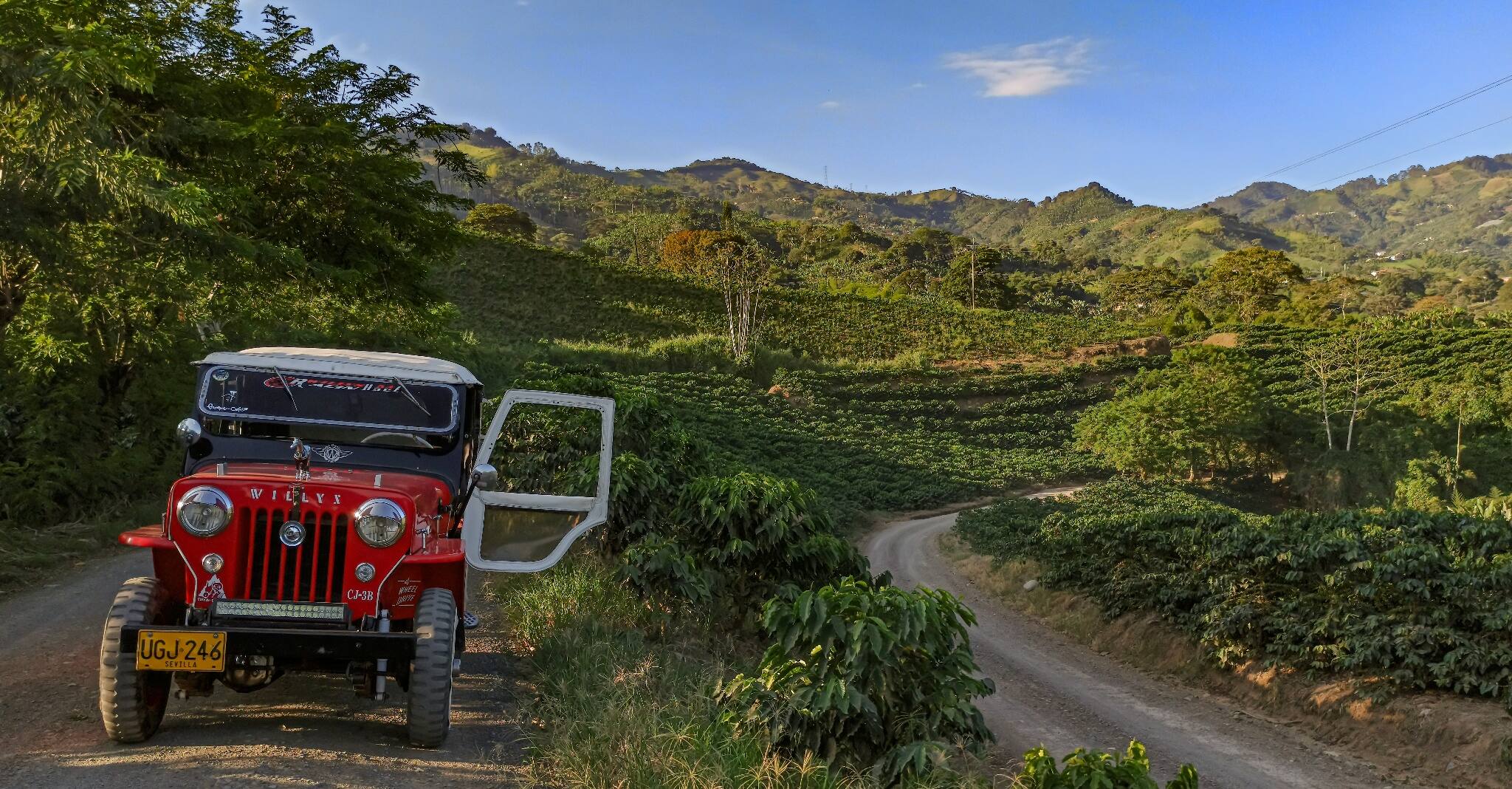 Nativa - Specialty Colombian Coffee