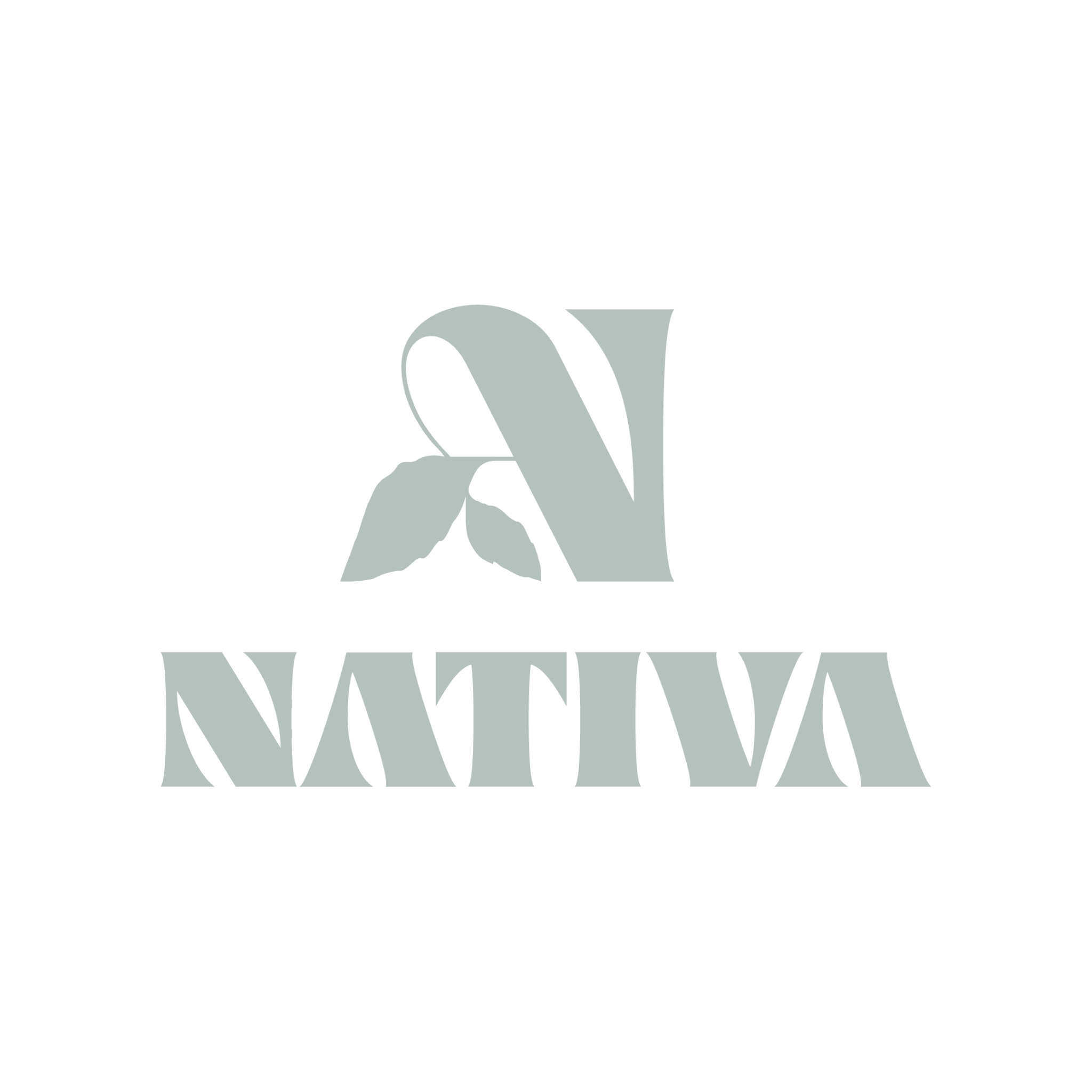 The Coffee Trees and Its Growing Process – Nativa - Specialty Colombian ...